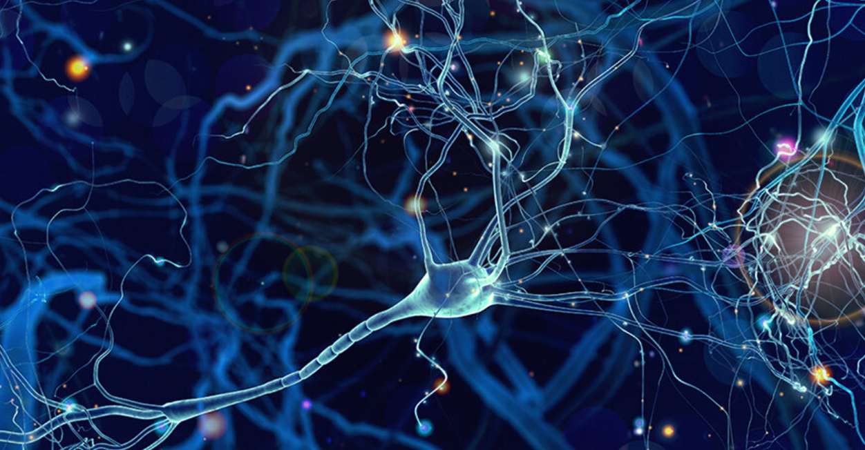 ‘BRAIN GLUE’ HELPS REPAIR CIRCUITRY IN TBI - TBI Times